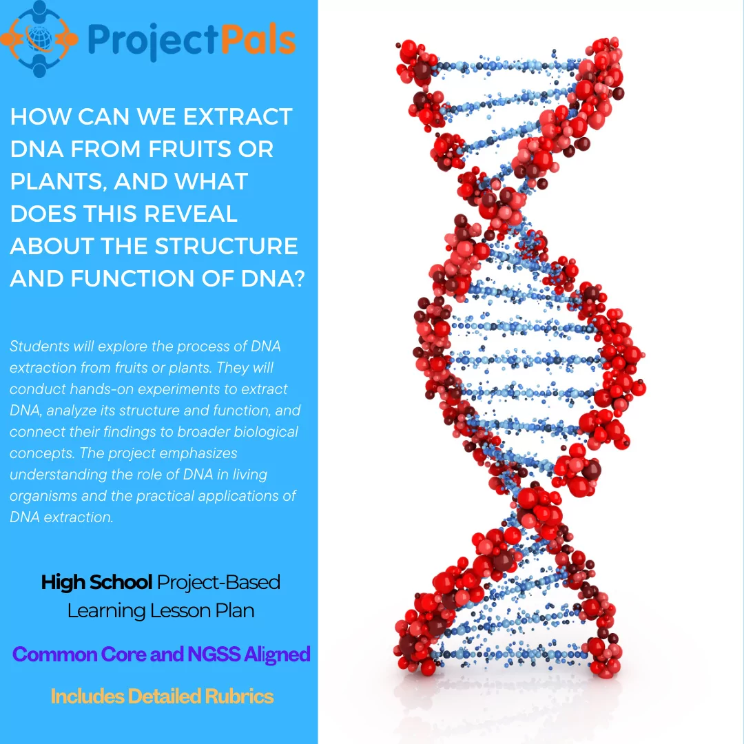 dna project